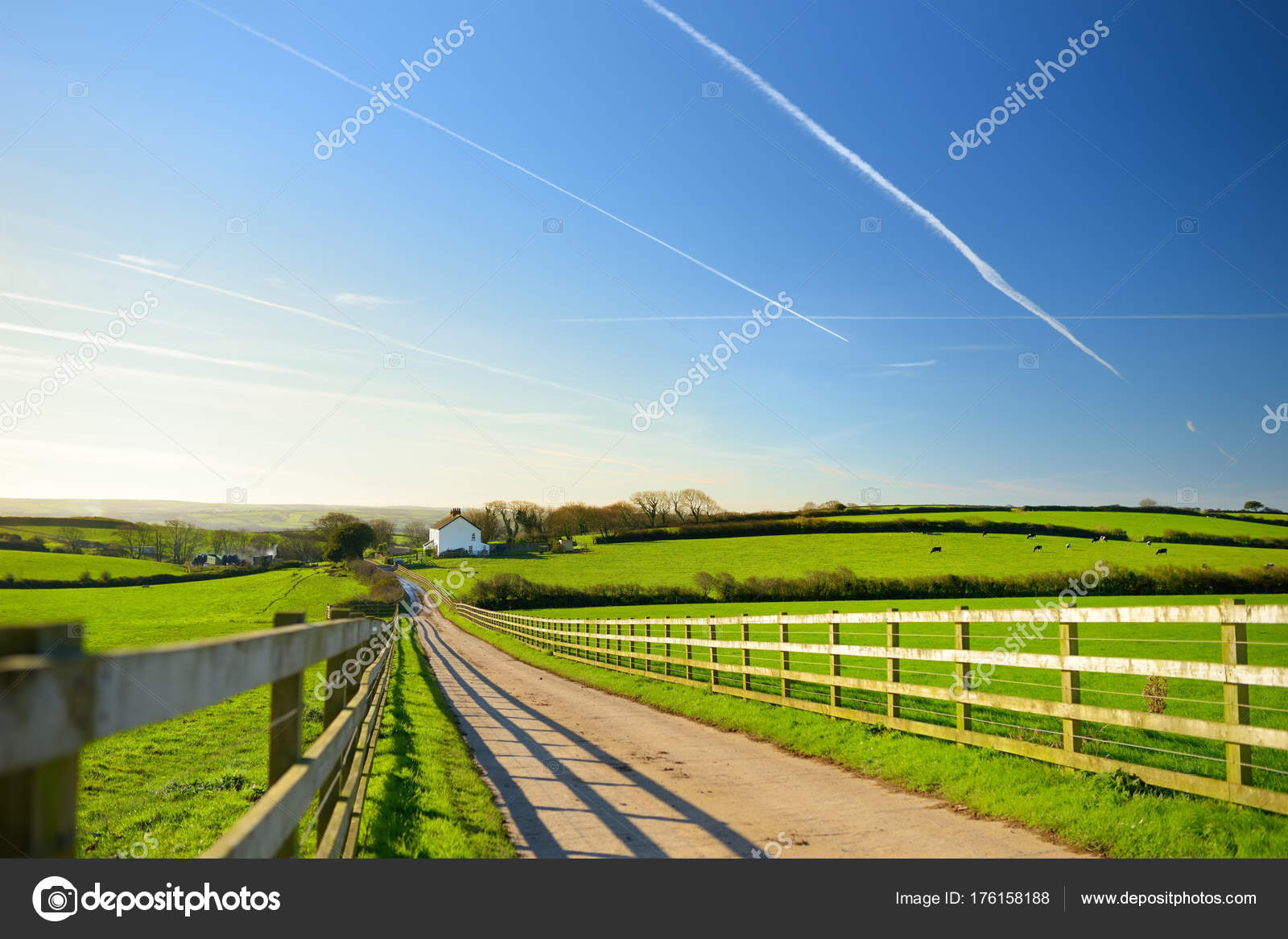Road leading to small house Stock Photo by ©MNStudio 176158188