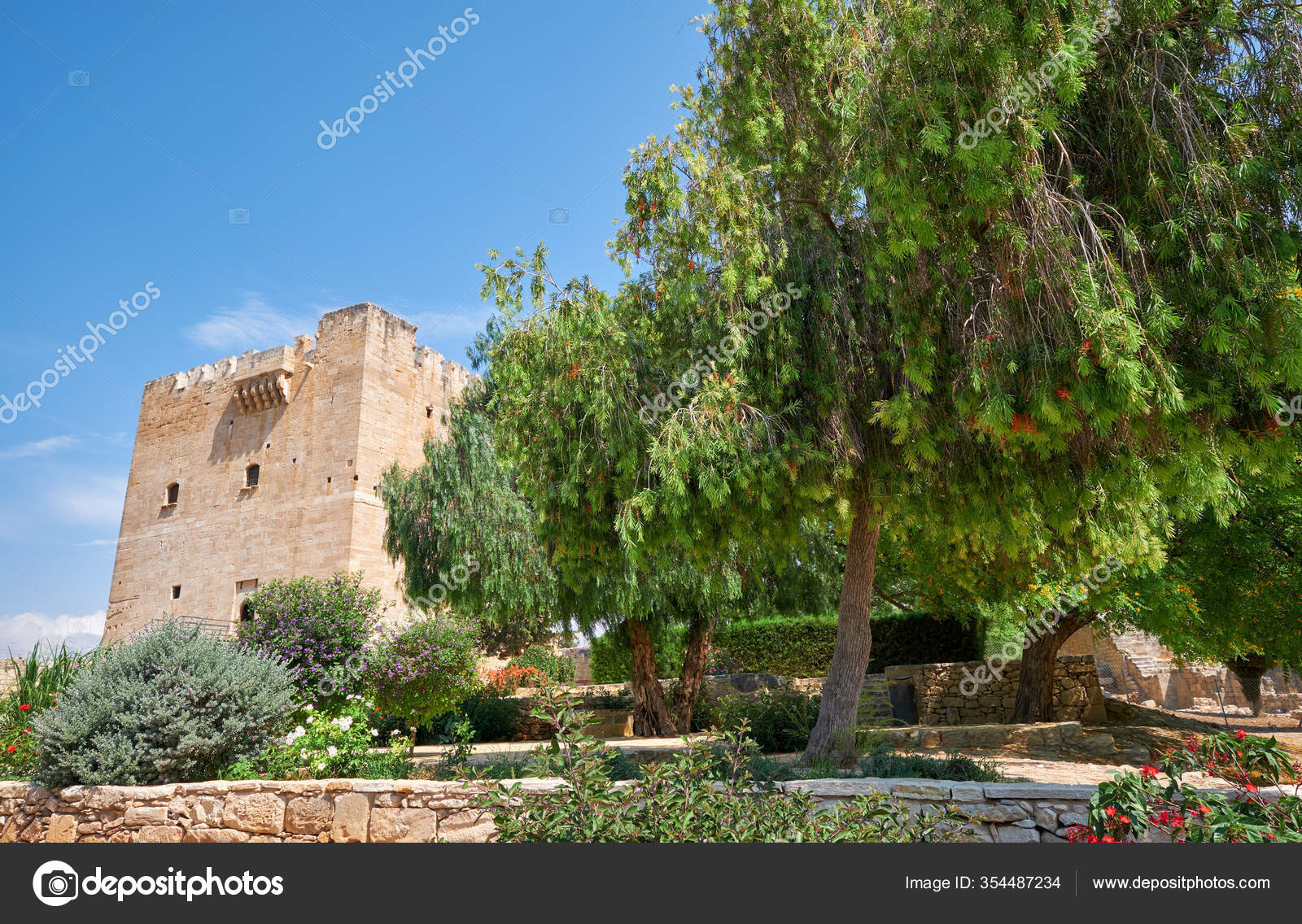 View Blossoming Callistemon Tree Garden Kolossi Castle Kolossi Limassol ...