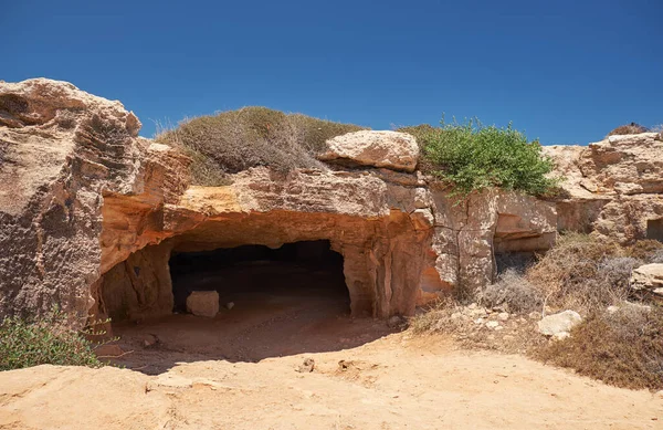 Cyclopus Stock Photos, Royalty Free Cyclopus Images | Depositphotos