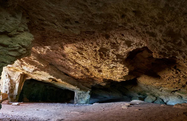 Cyclopus Stock Photos, Royalty Free Cyclopus Images | Depositphotos