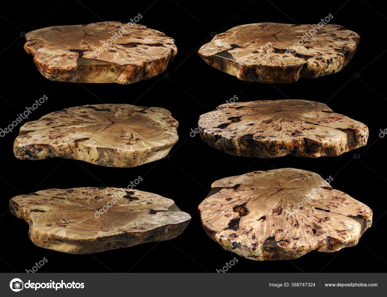 Six Solid Elm Countertop Wood Surface Cross Section Elm Tree Stock ...