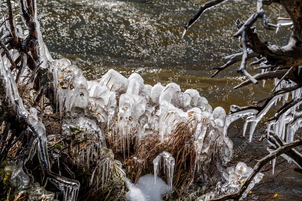 Icicles on trees at loch lake — Stock Photo © haveseen #173333454