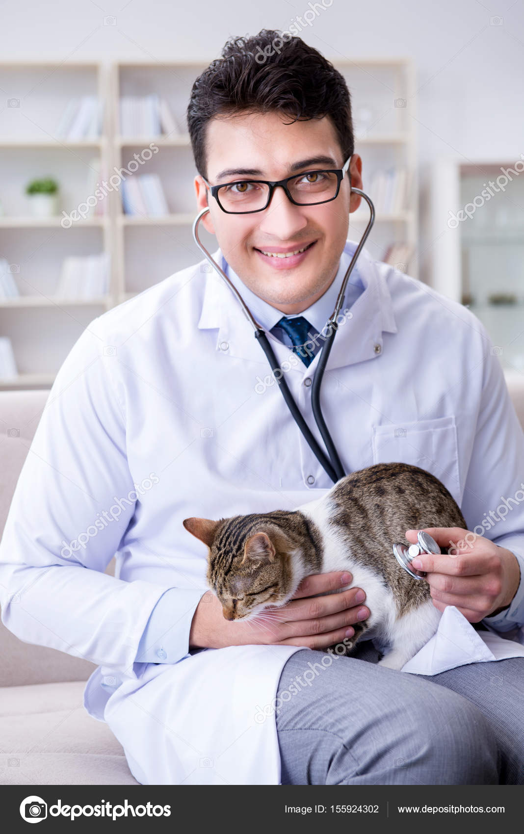Cat visiting vet for regular check up Stock Photo by ©Elnur_ 155924302