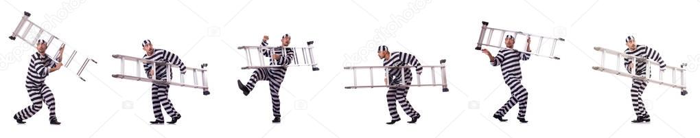 Thief with ladder Stock Photos, Royalty Free Thief with ladder Images ...