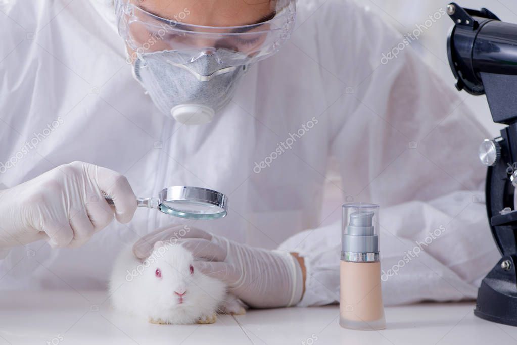 Científico haciendo experimentos con animales en laboratorio con conejo ...