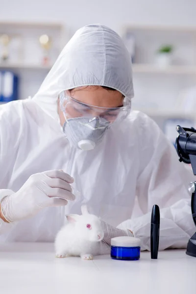 Scientist doing animal experiment in lab with rabbit - Stock Image ...