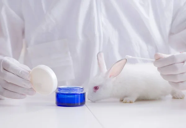 White rabbit in scientific lab experiment Stock Photo by ©Elnur_ 173256988