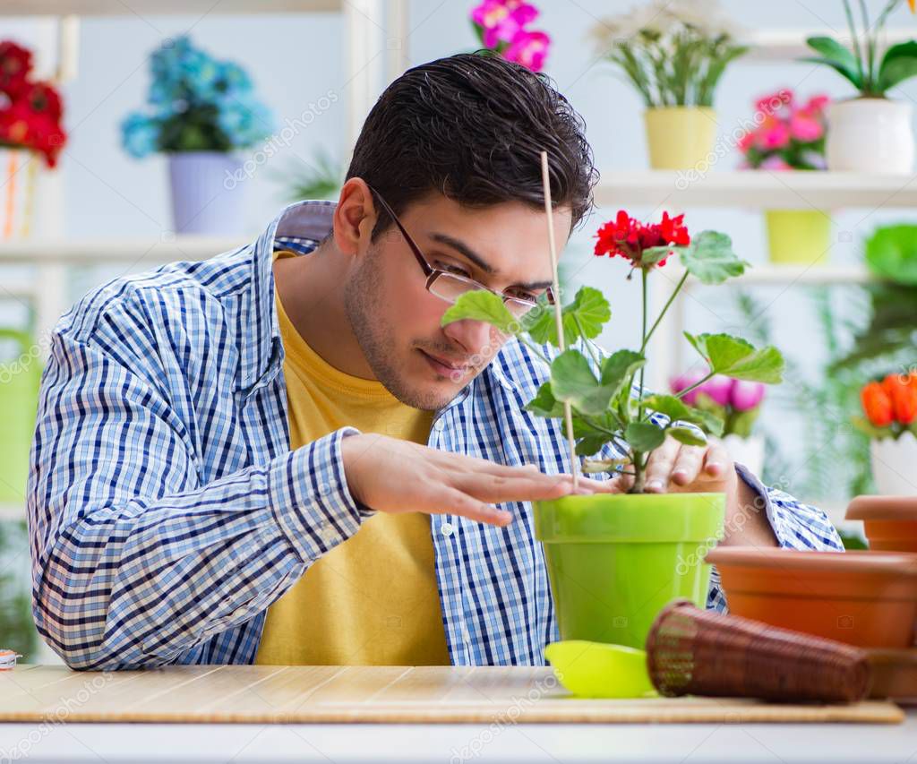 Floristería joven trabajando en una florería 2023