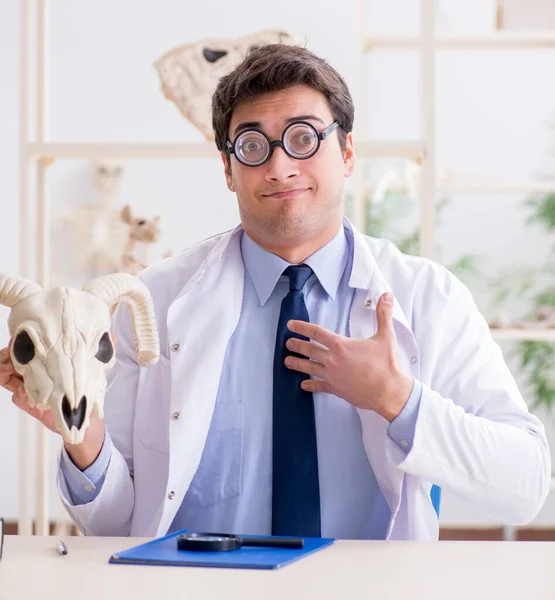 You mean professor Stock Photos, Royalty Free You mean professor Images ...