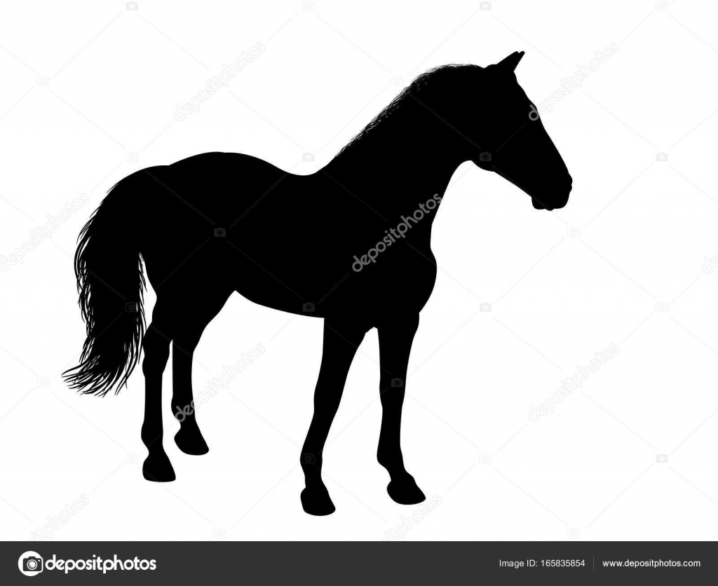 Standing Horse Silhouette