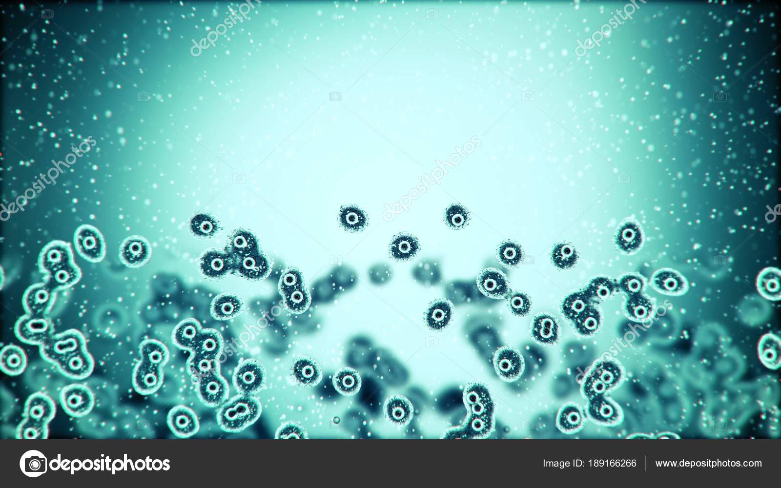 Microscopic plate of bacteria multiplying themselves ⬇ Stock Photo ...