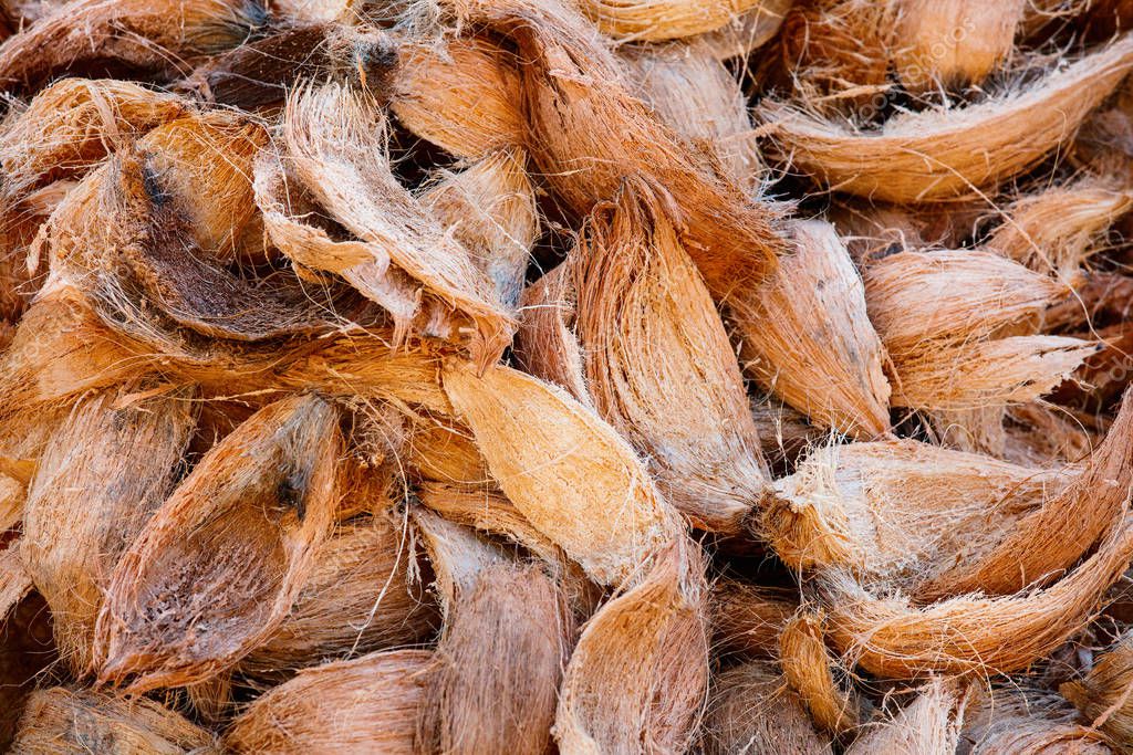 Cáscara de coco en el puesto de mercado 2024