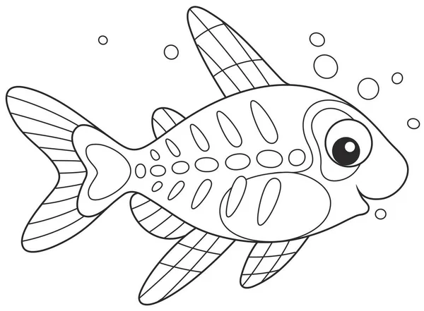 X Ray Fish Coloring Page Az Pages Sketch Coloring Page Fish Colouring