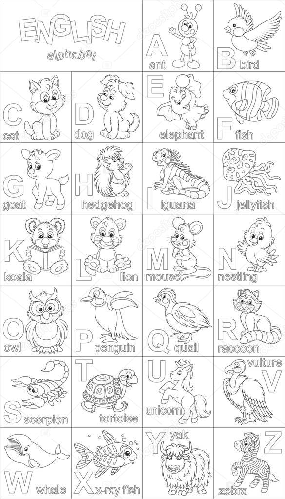 Inglese Animali Nomi Colorare Schede Didattiche Portale Flashcards ...