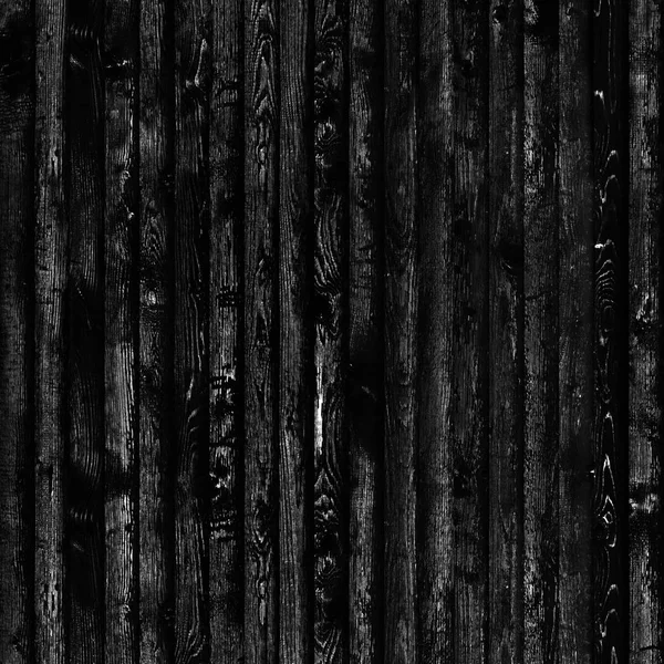 Dark forest texture Stock Images - Search Stock Images on Everypixel