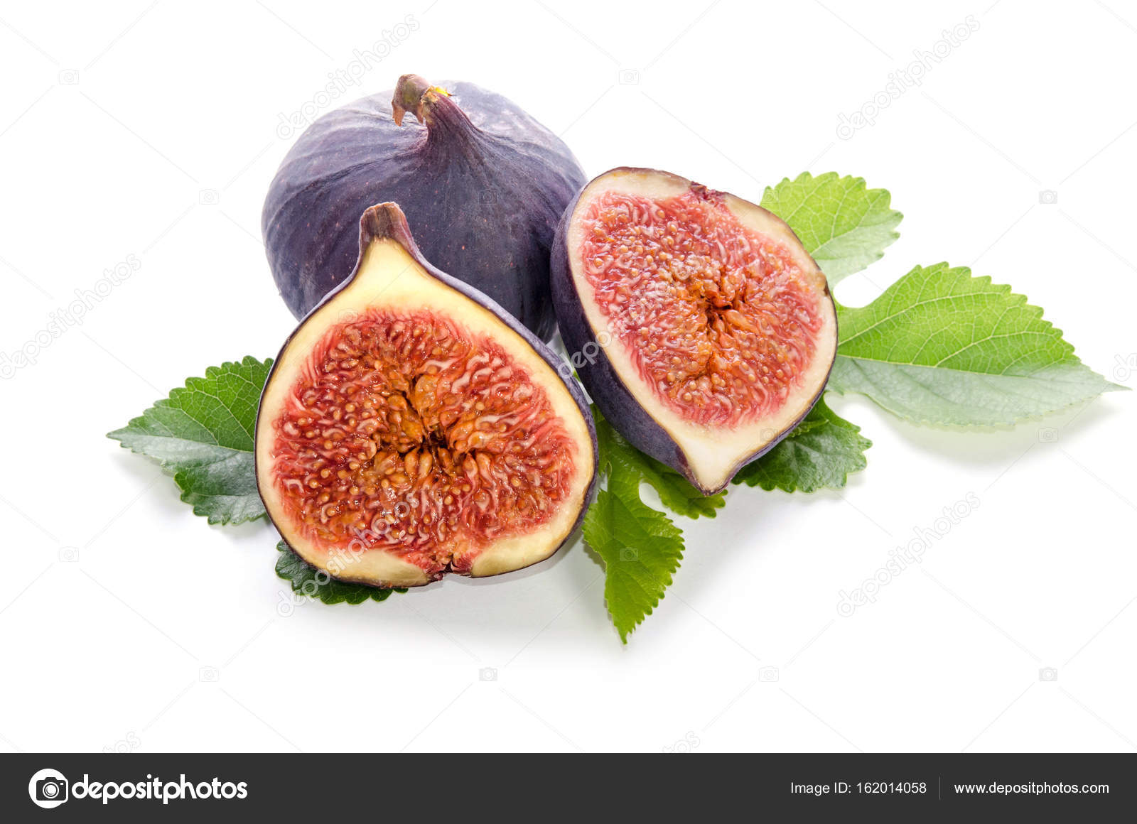 Fruits of Fig tree ( whole and part) with leaves isolated on whi ...
