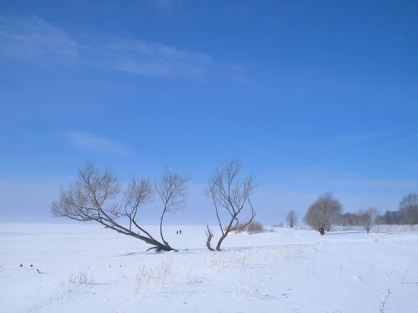 Fotos de Paisagem rural fria, Imagens de Paisagem rural fria sem ...