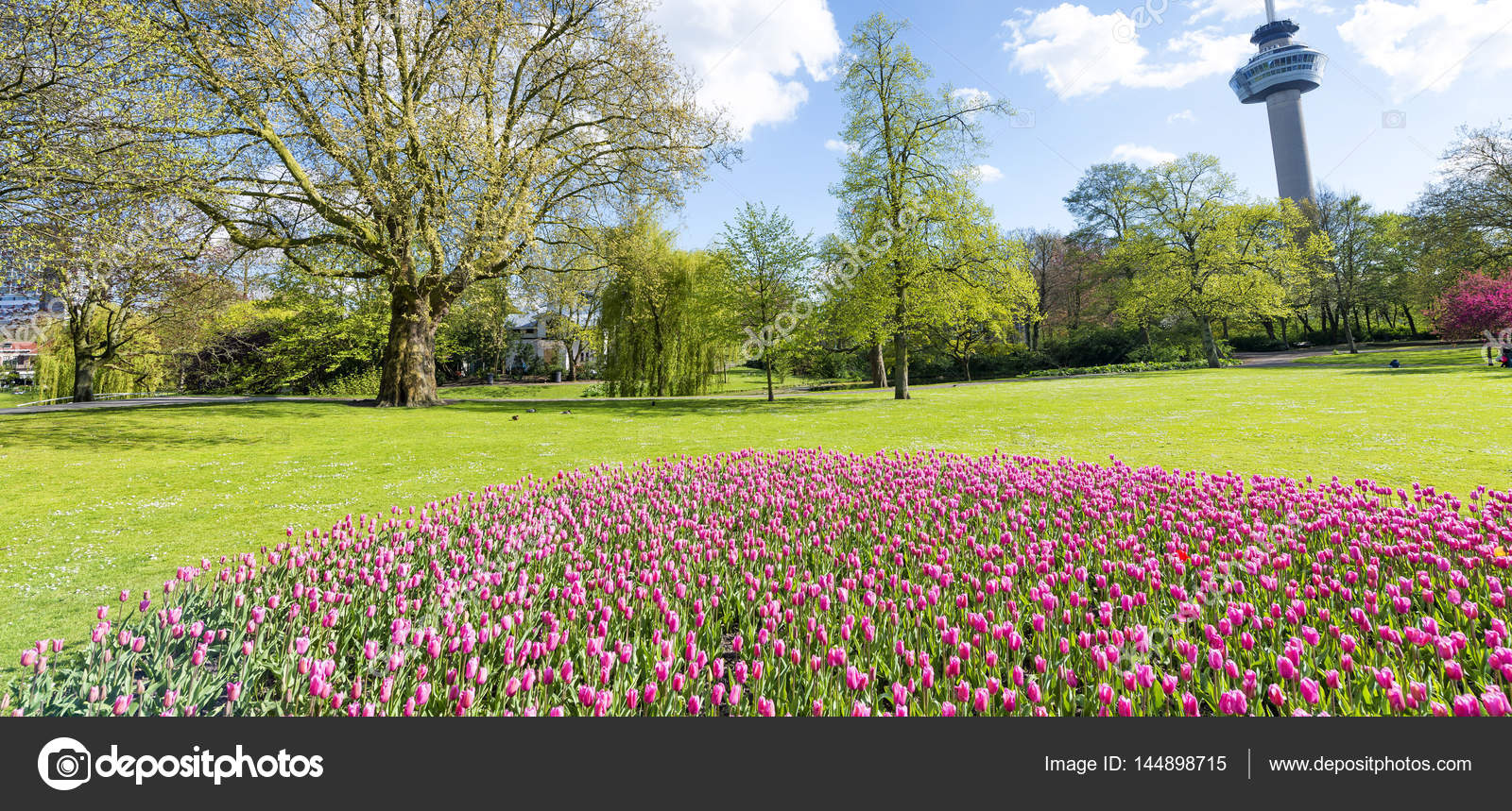 Rotterdam Flower Park | Best Flower Site