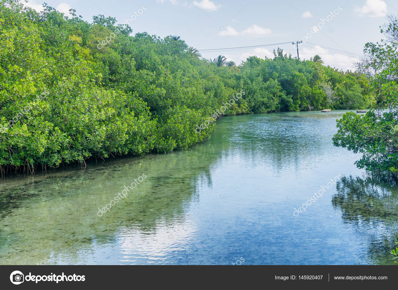 River with Mangroves, Cuba — Stock Photo © jovannig #145920407