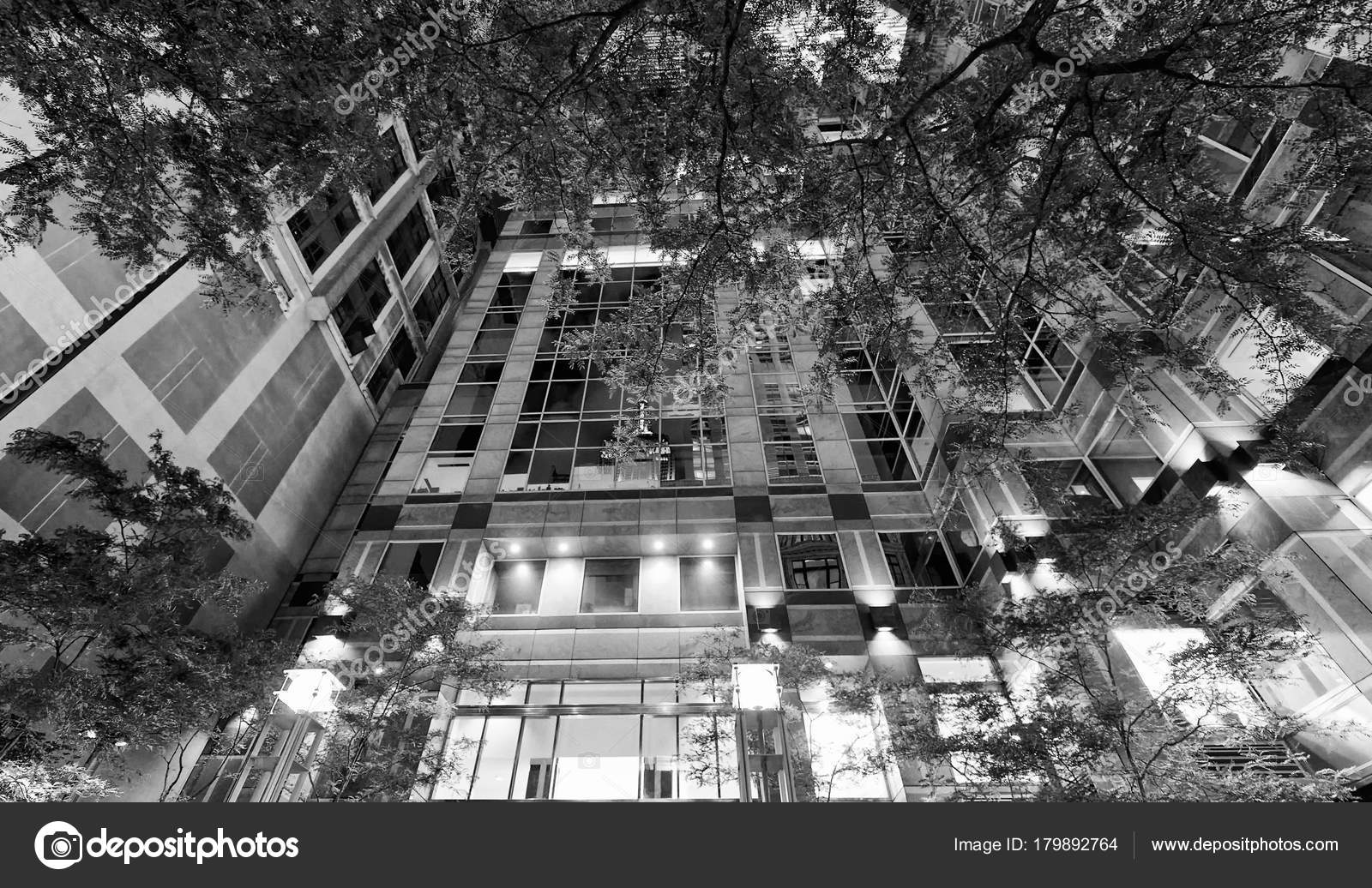 New York Building Trees Night Reflections Windows Stock Photo by ...