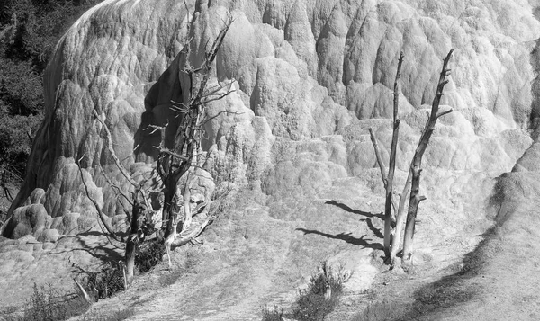 Sinter Stock Photos, Royalty Free Sinter Images | Depositphotos®