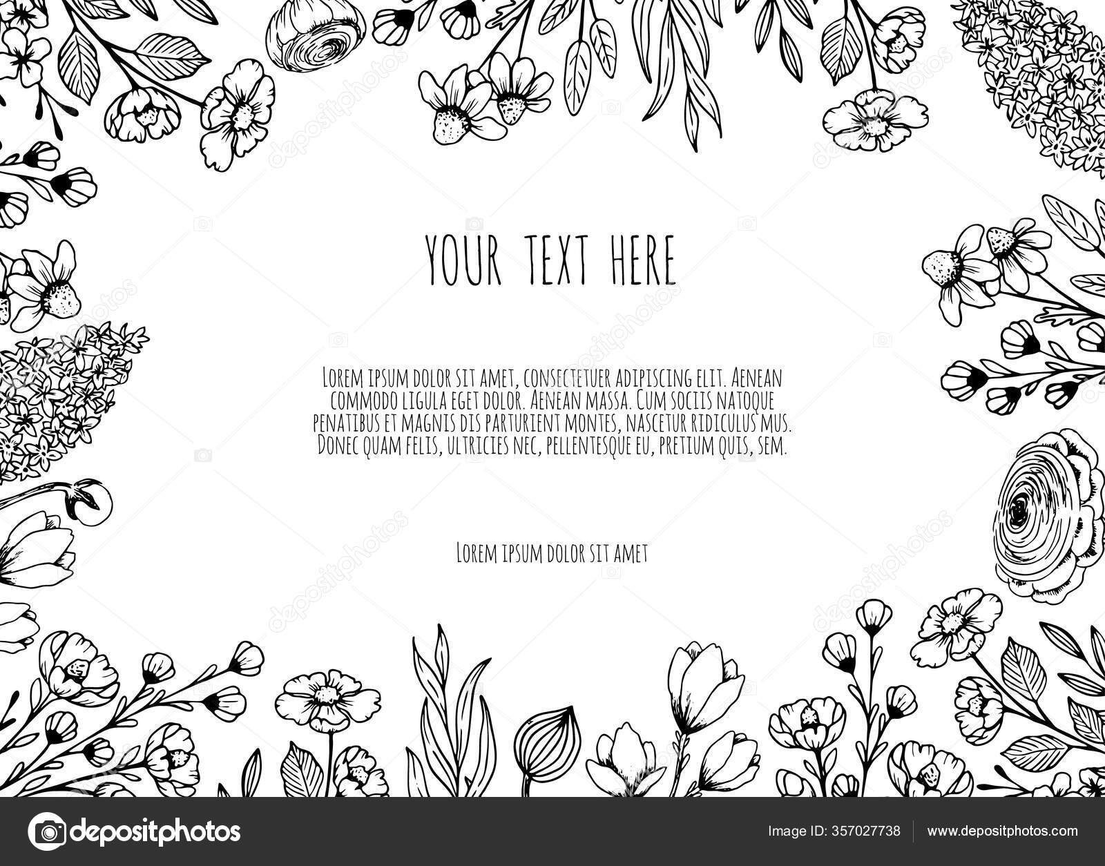 Hand Drawn Floristic Frame Border with Flowers, Branches, Plants ...