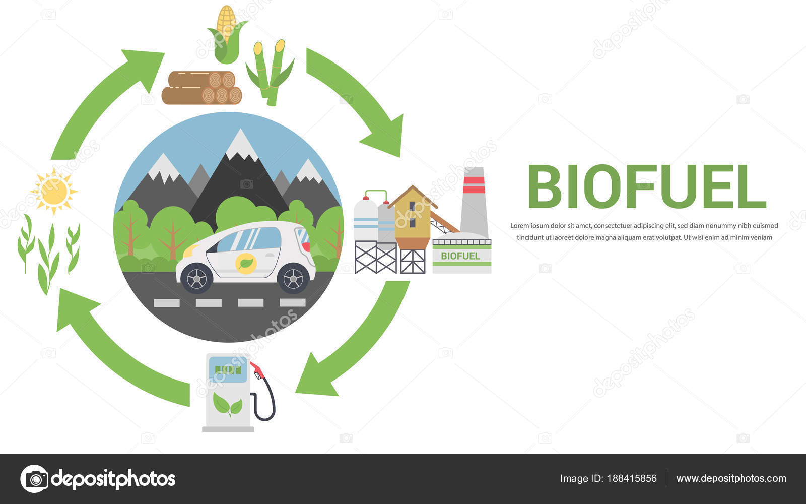 Biofuel life cycle Stock Vector Image by ©leshkasmok #188415856