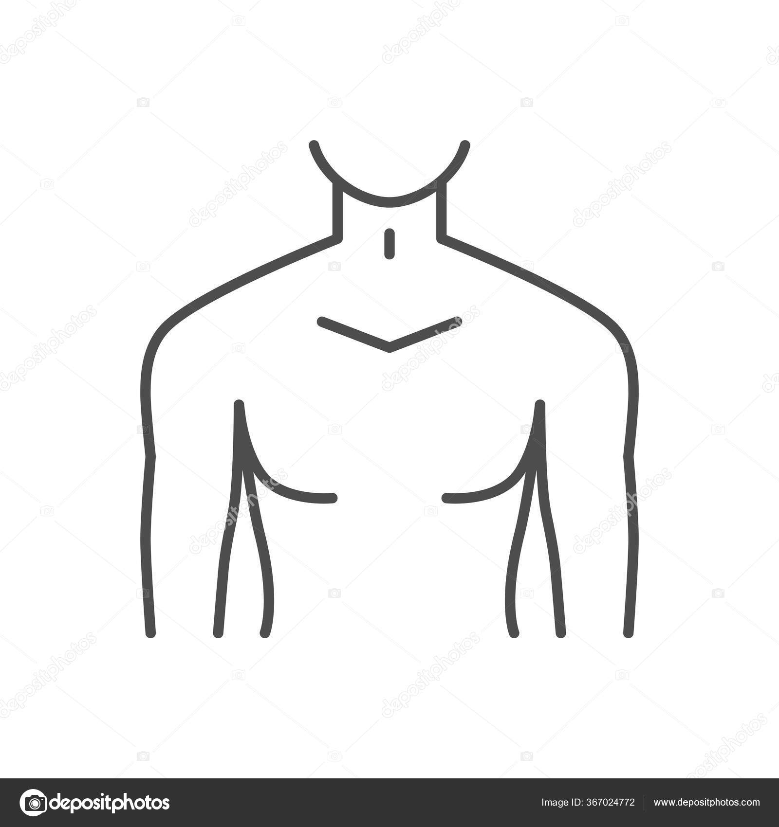 Male torso related vector thin line icon. Stock Vector Image by ...