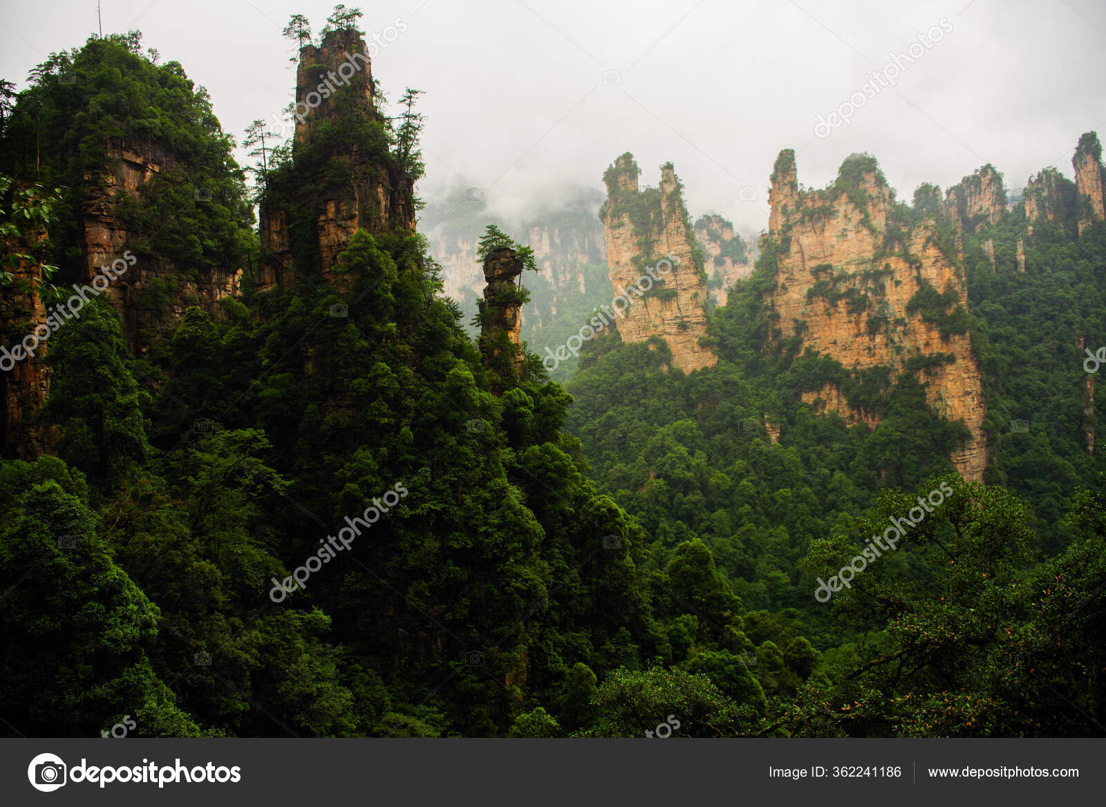 Zhangjiajie Cliff Mountain Wulingyuan Hunan China — Stock Photo ...