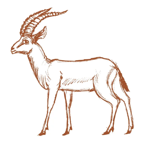 33 Sable antelope Vector Images - Free & Royalty-free Sable antelope ...
