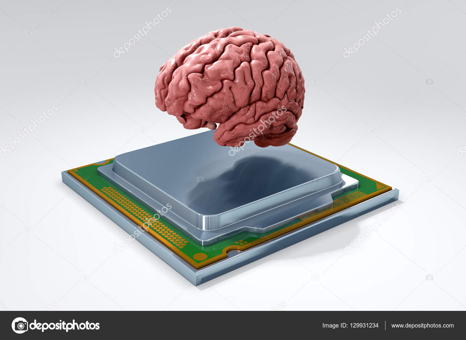 Human brain with computer processor isolated on white. Concept 3 Stock ...
