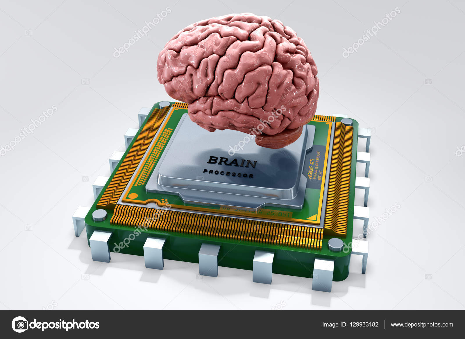 Human brain with computer processor isolated on white. Concept 3 Stock ...