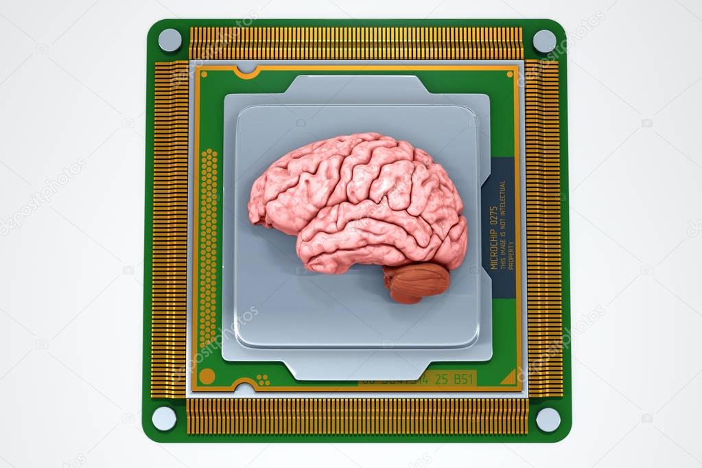 Human brain with computer processor isolated on white. Concept 3 Stock ...