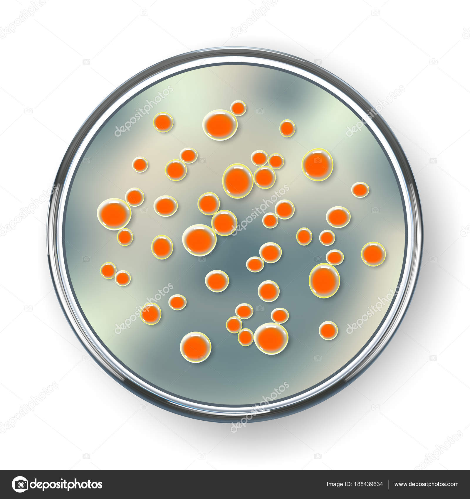 Petrischaal Met Cellen