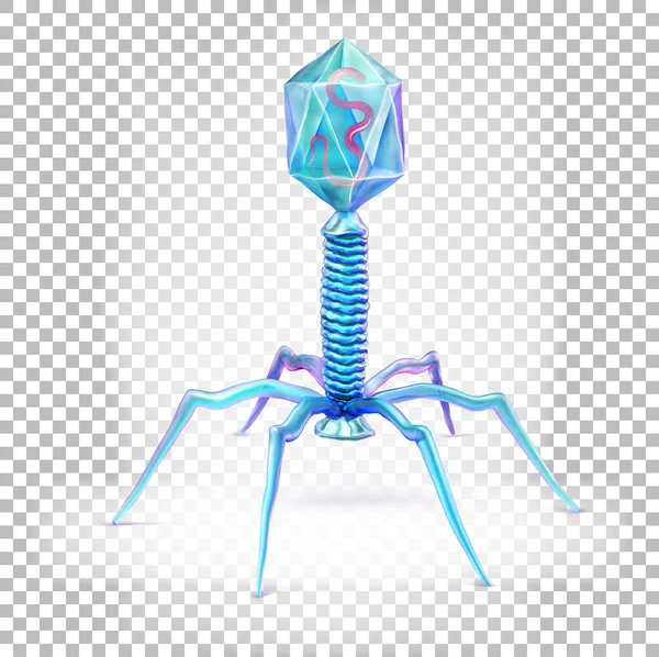 18 Phage Vector Images | Depositphotos