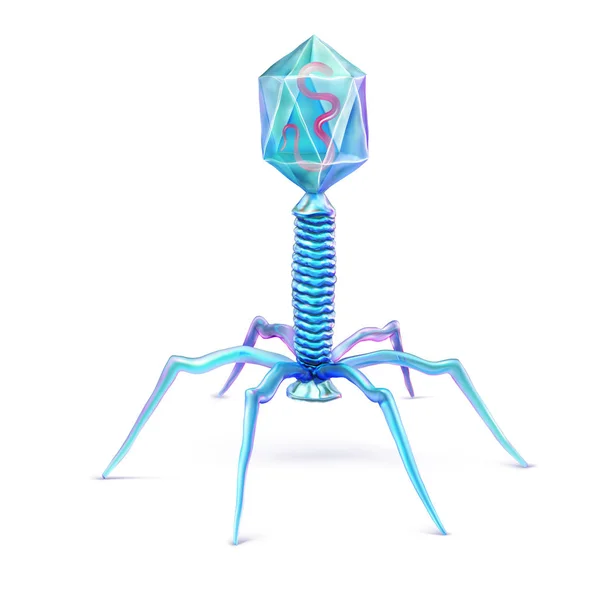 18 Phage Vector Images | Depositphotos