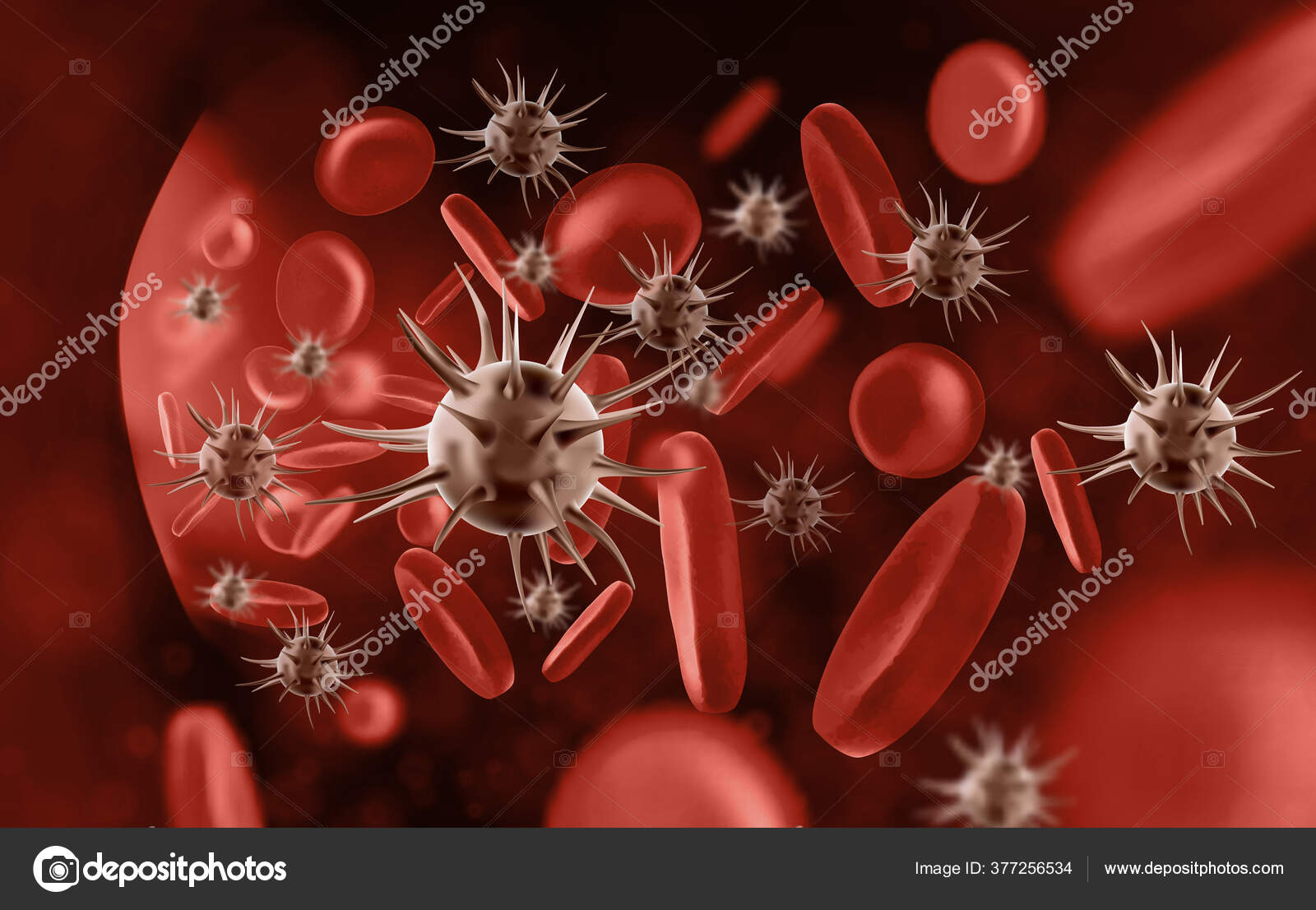 Red Blood Cells Vein Virus Vector Illustration Stock Vector Image by ...