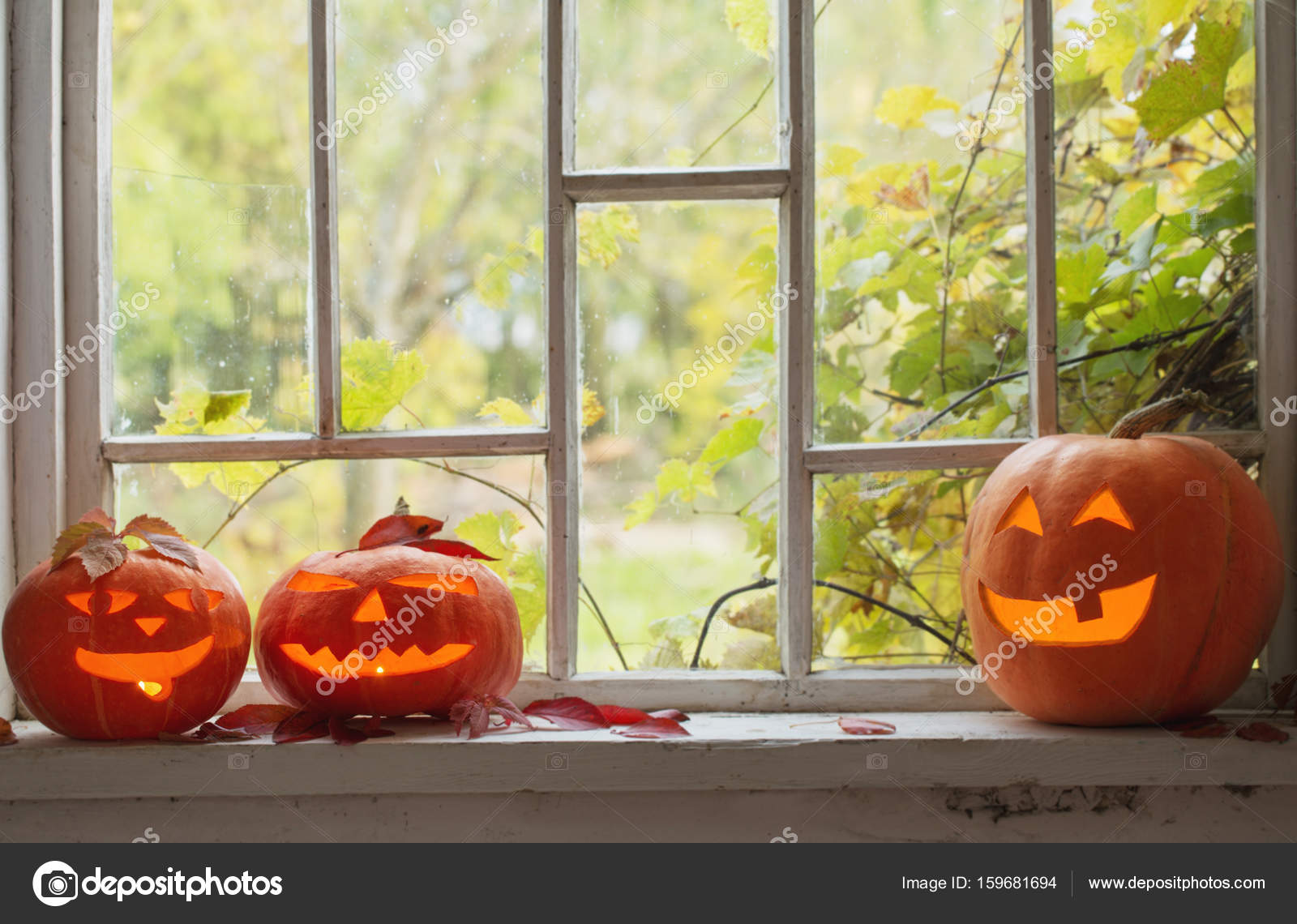 Halloween pumpkins on window Stock Photo by ©Kruchenkova 159681694