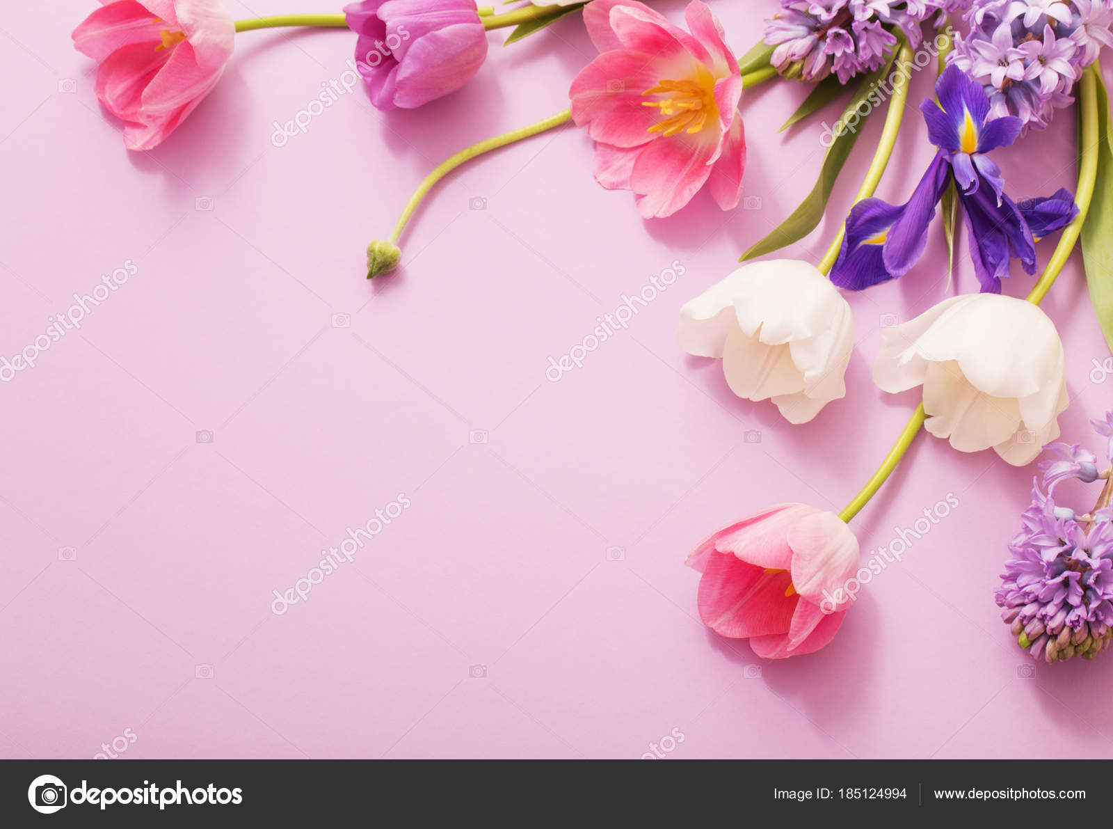 Beautiful flowers on paper background — Stock Photo © Kruchenkova ...