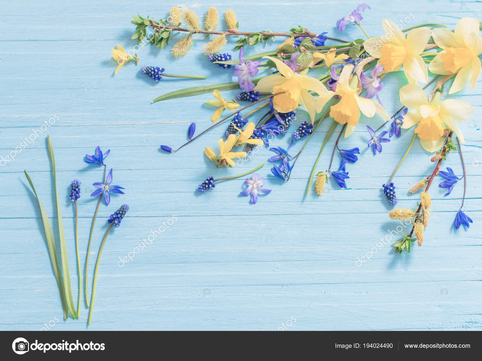 Yellow and blue spring flowers on wooden background — Stock Photo ...