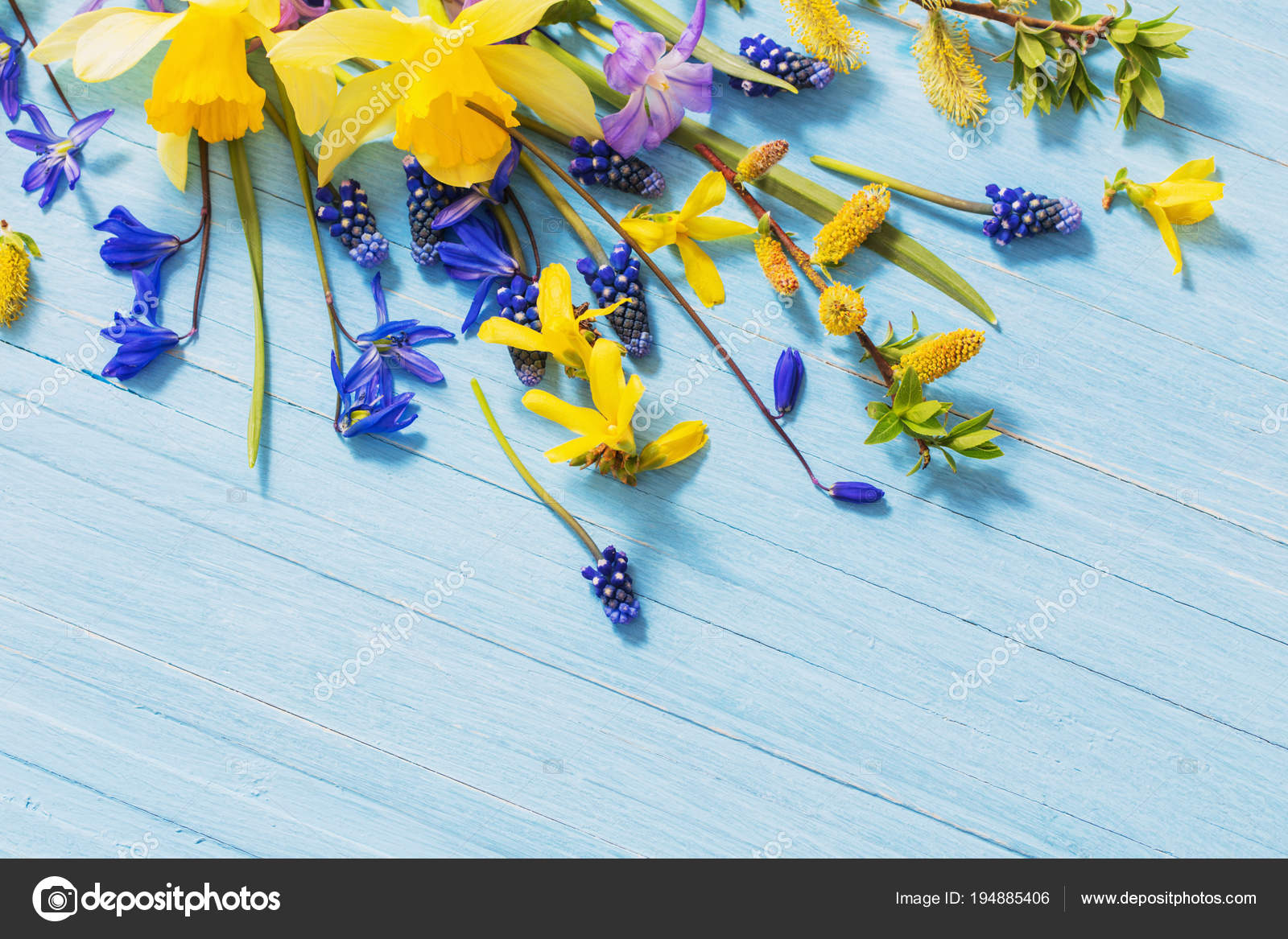 Yellow and blue spring flowers on wooden background — Stock Photo ...