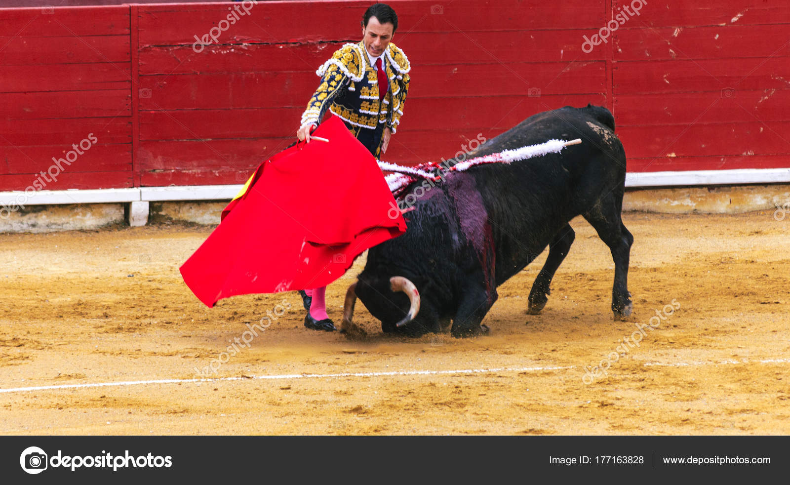 Brave bullfighter teasing an angry wounded bull in the arena. Spanish ...