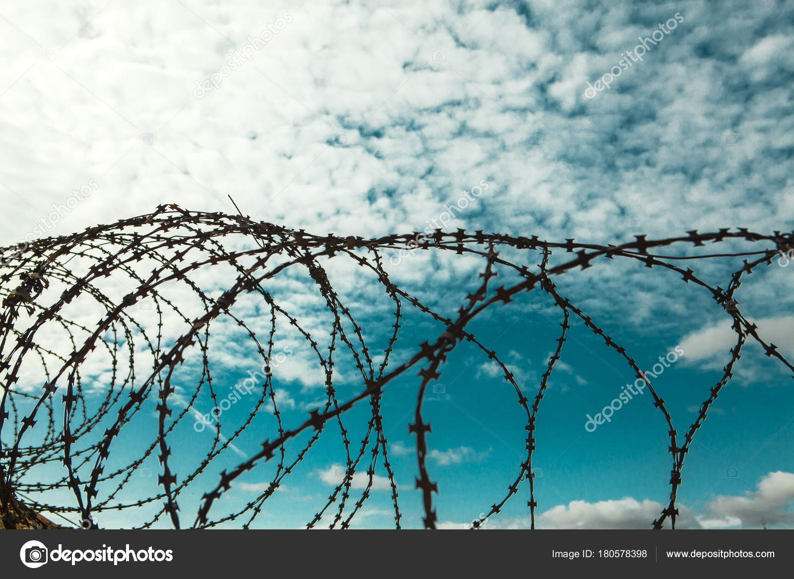 Колючая проволока. Колючая проволока на голубом фоне неба с белыми ...