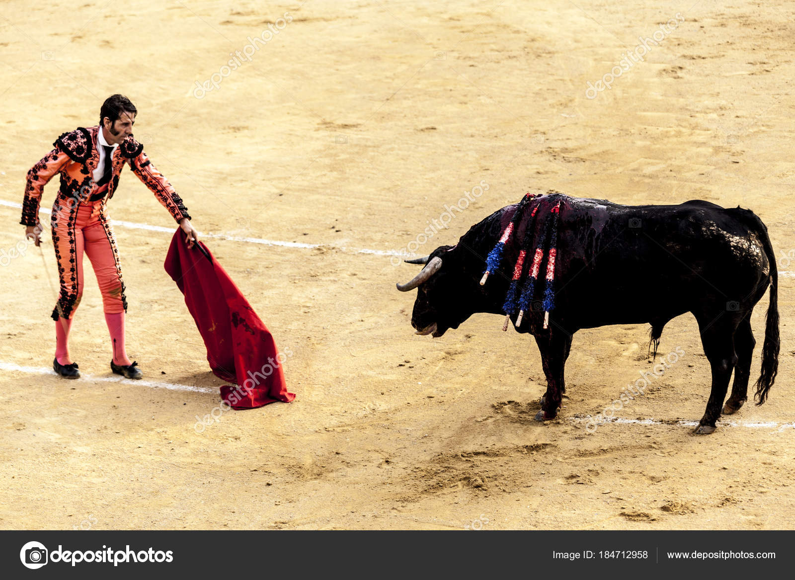 The last battle of the bull.The fight of a bull and bullfighter ...