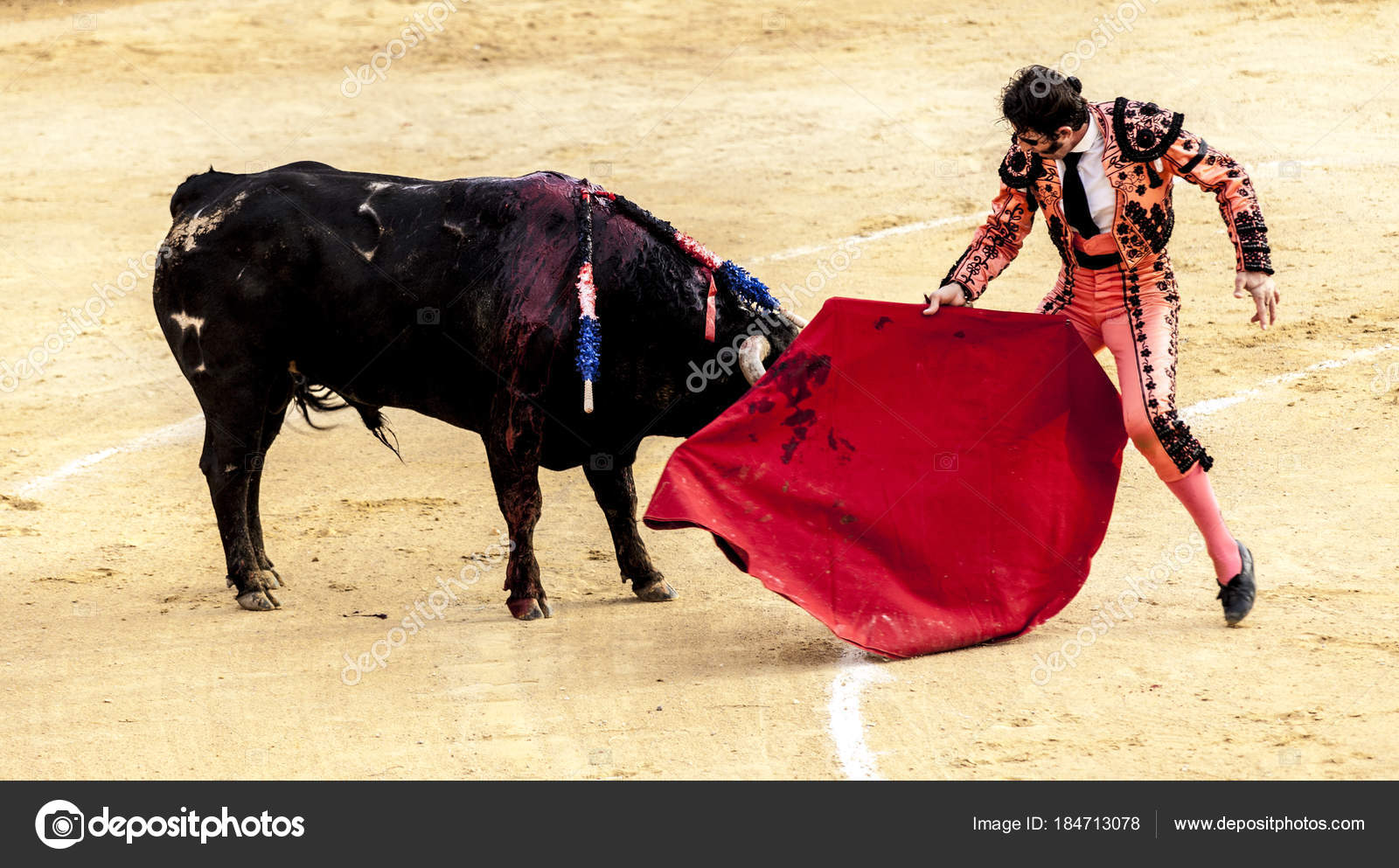 Corrida de toros.La dernière bataille du taureau Le combat d'un taureau et d'un torero. Une ...