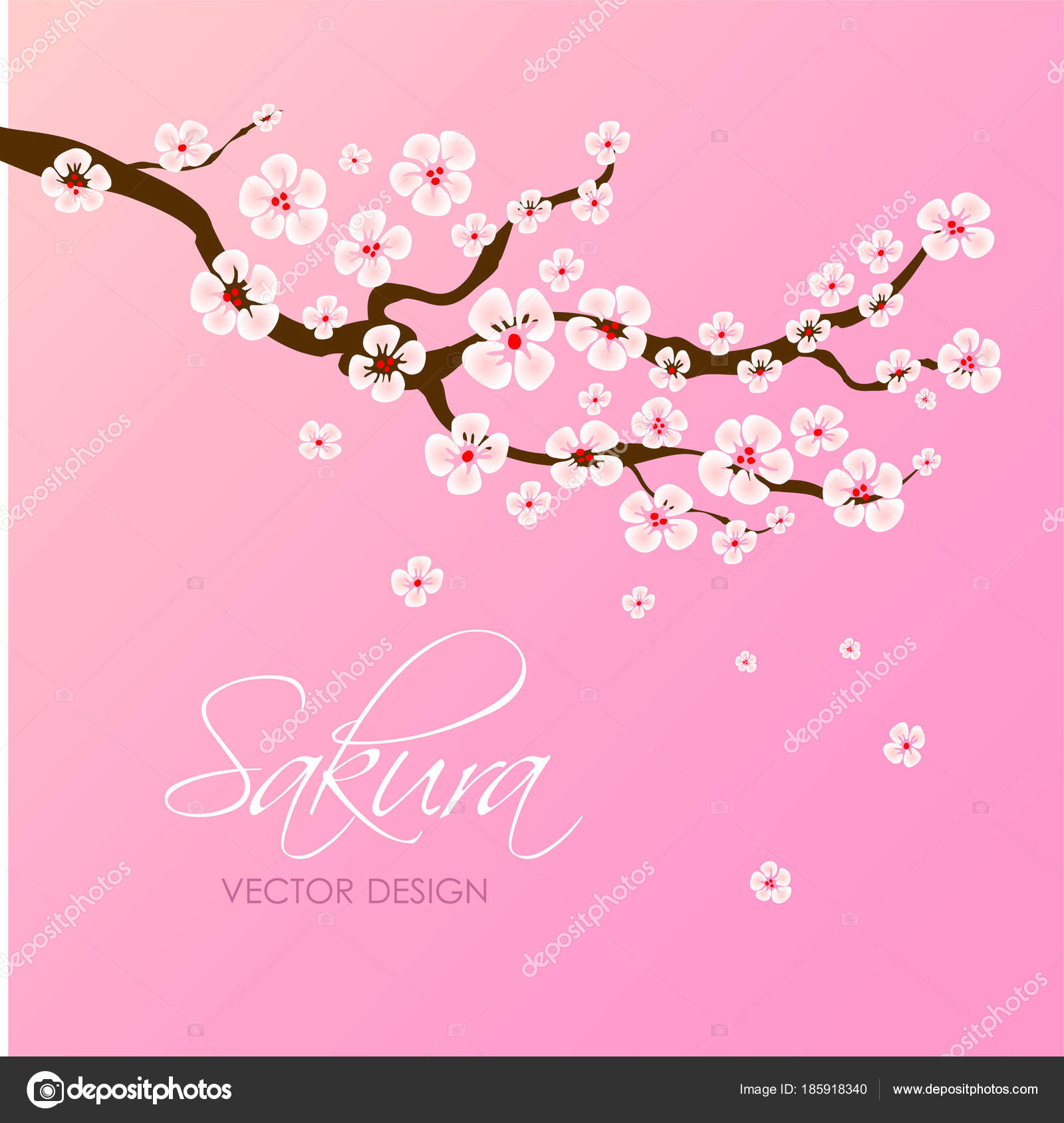 Japanese and chinese sakura. Stock Vector by ©mcherevan 185918340