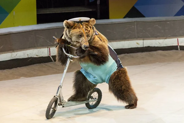 Circus arena Pictures, Circus arena Stock Photos & Images | Depositphotos®