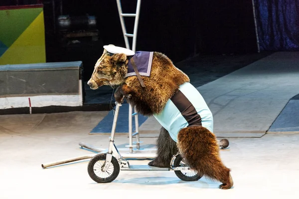 Circus arena Pictures, Circus arena Stock Photos & Images | Depositphotos®