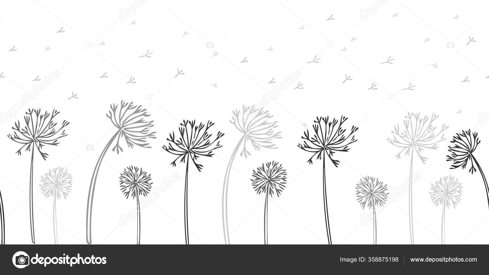 Seamless Dandelion Pattern Horizontal Background Hand Drawn Plants ...