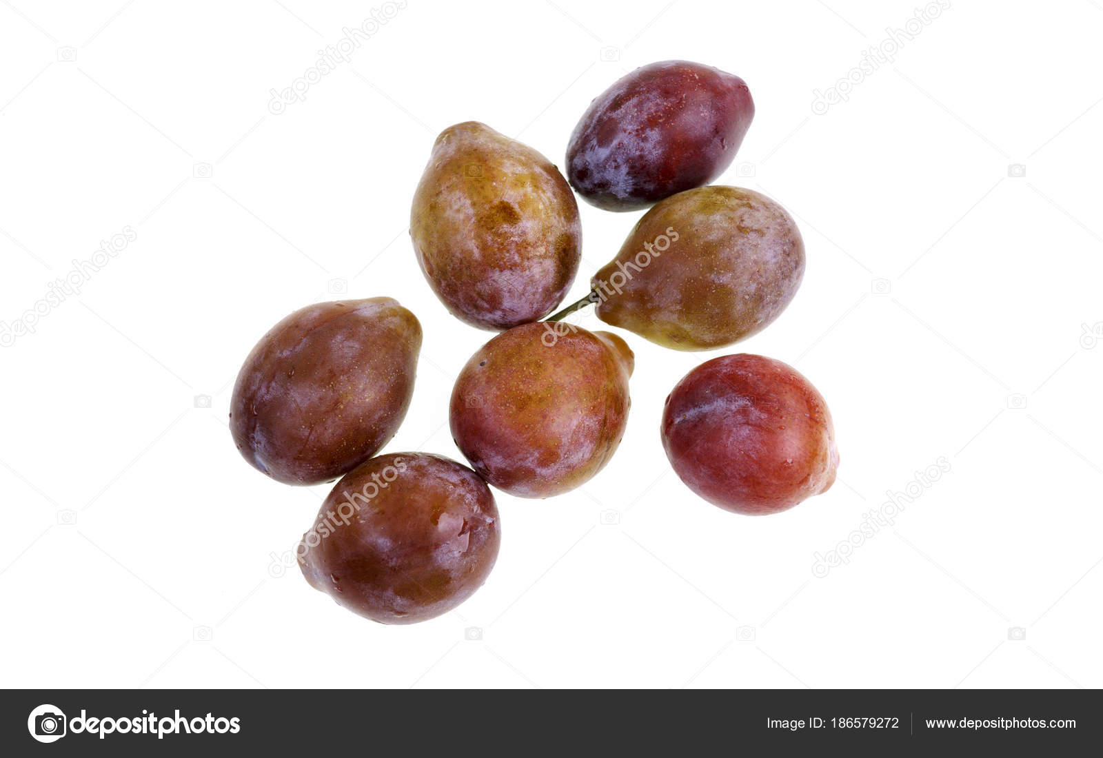 sugar plums fruit